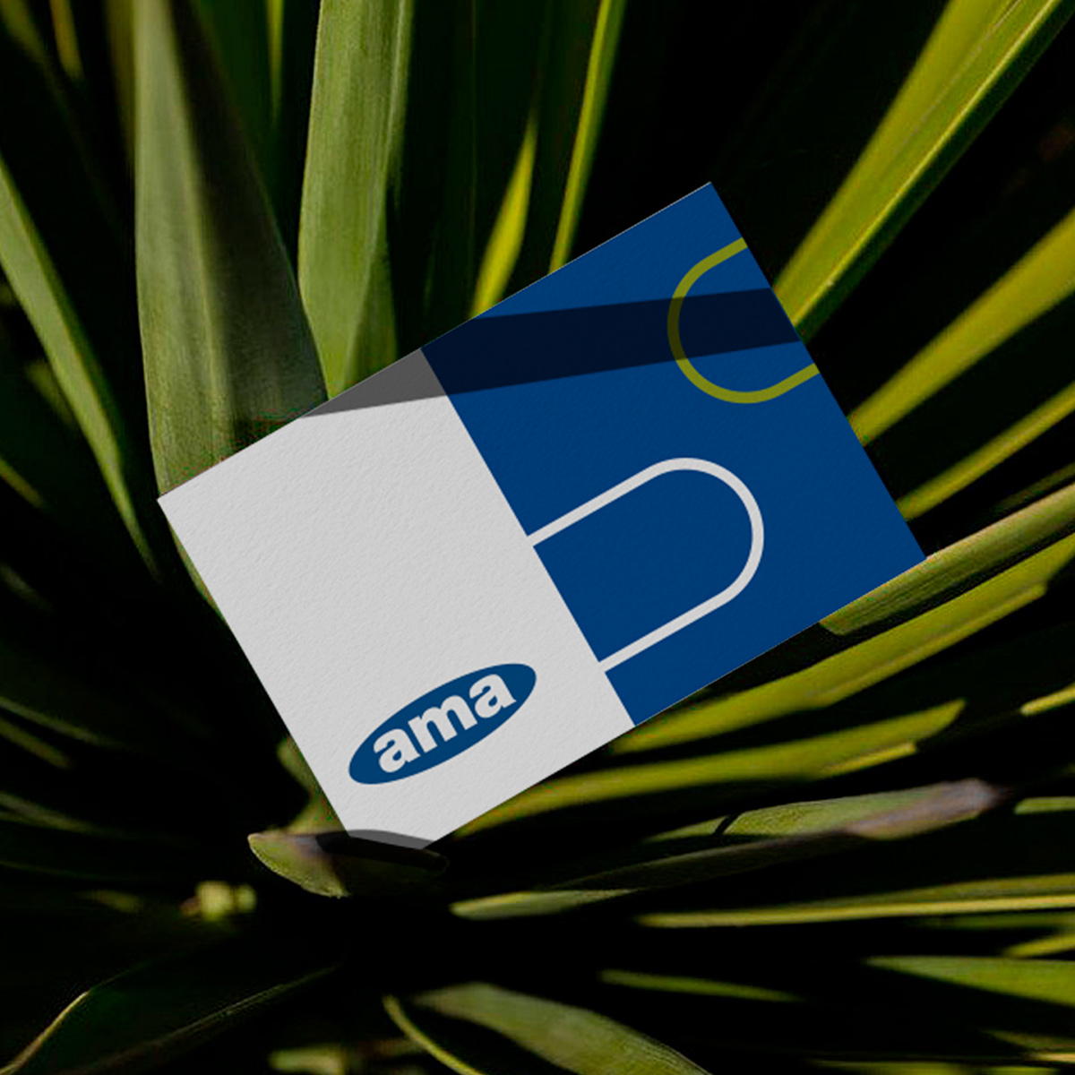 AMA - Ventisette Digital Communication srl